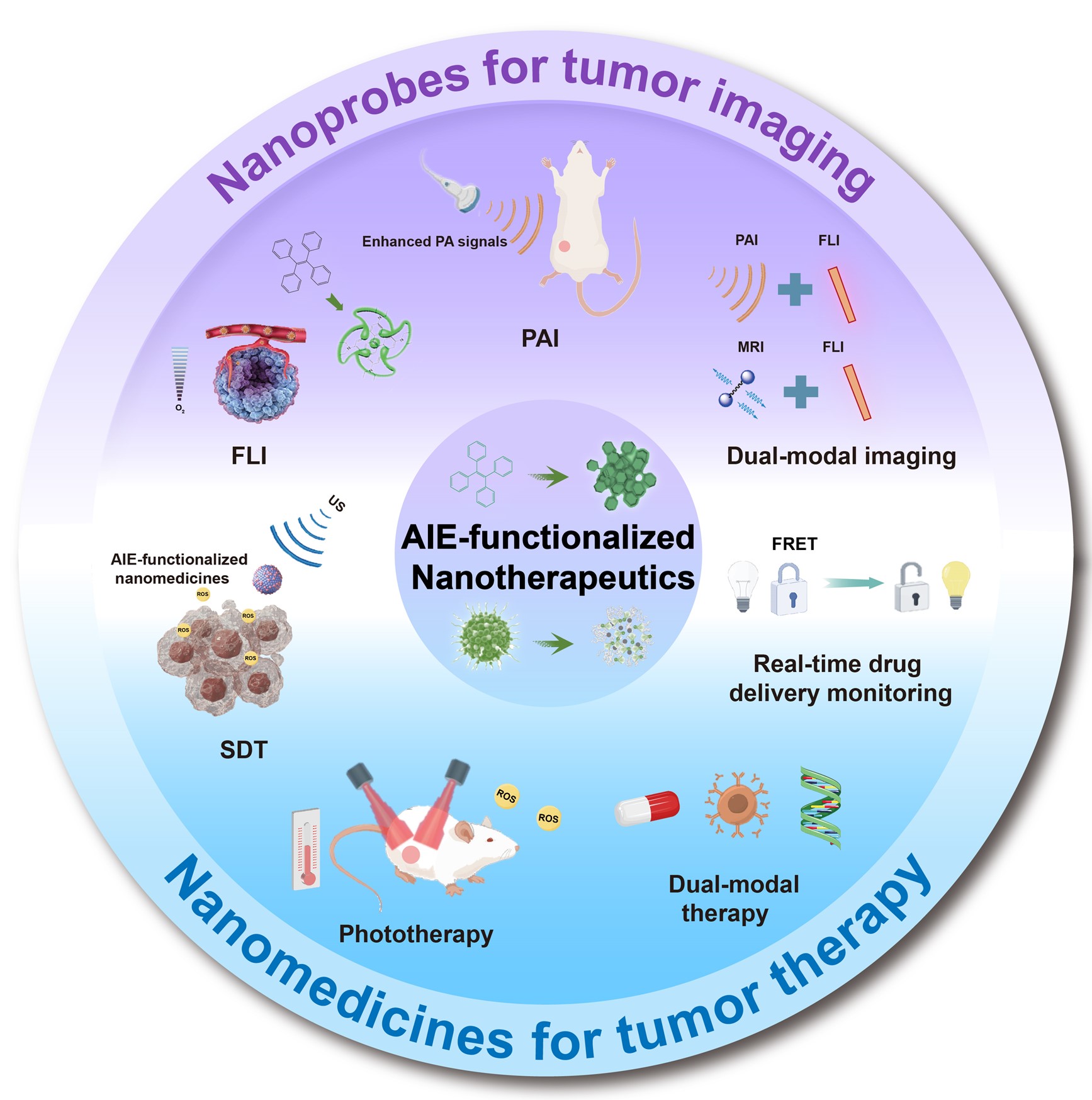 沈阳药科大学罗聪/张申武/王悦全团队在Coord Chem Rev发表AIE纳米探针和纳米药物领域最新进展-沈阳药科大学学科建设办公室